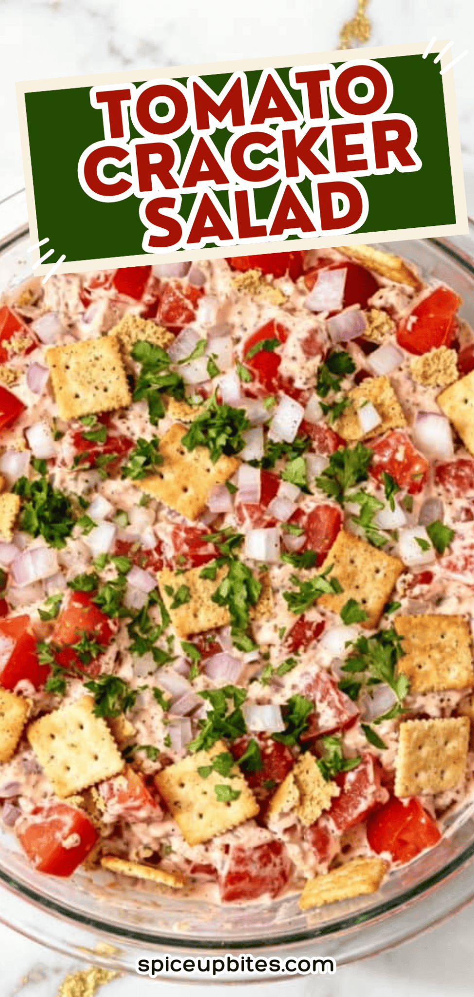 Tomato Cracker Salad - Spice Up Bites